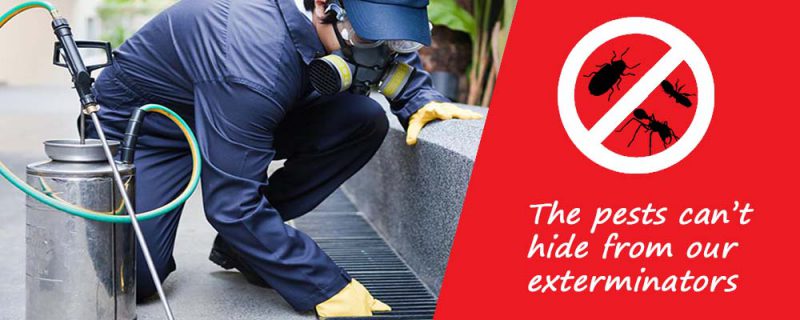 Fumigation and Pest Control – Fastrack Bubbles Cleaning Services